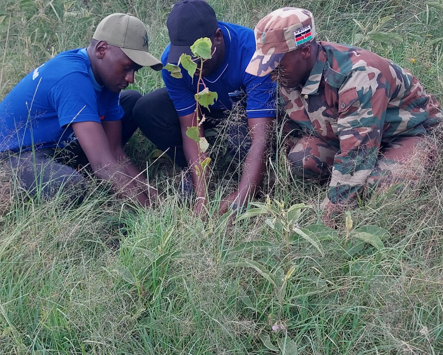 General - Davis & Shirtliff Group