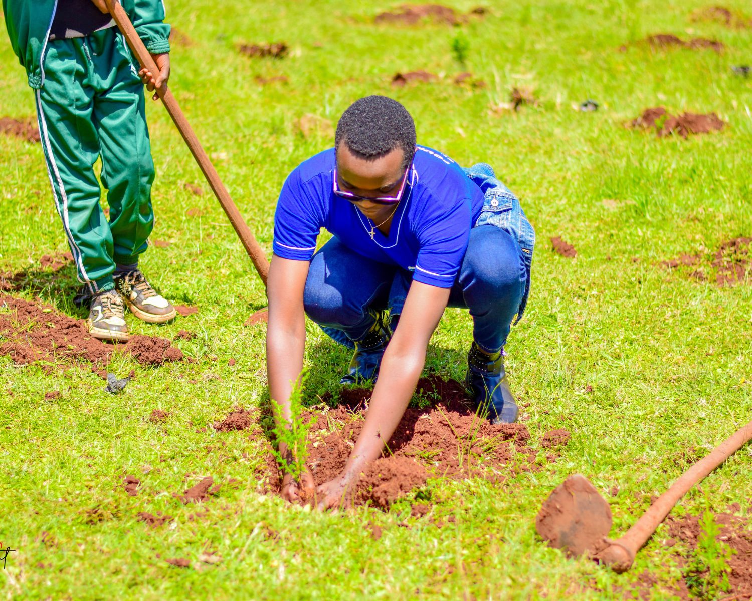 General - Davis & Shirtliff Group