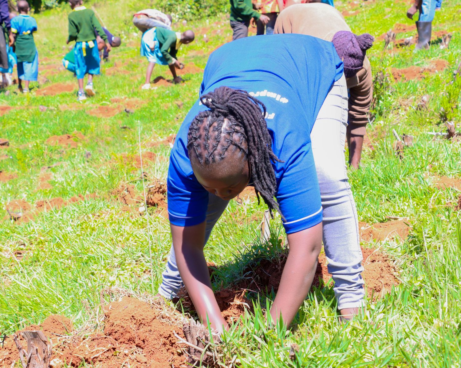 General - Davis & Shirtliff Group